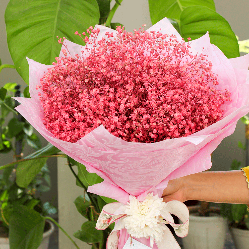 Pink Gypso Sensation Bouquet – TCS Sentiments Express